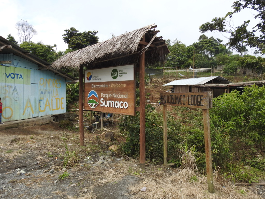 Lodge Review: Wildsumaco Lodge, Ecuador | Miles To The Wild