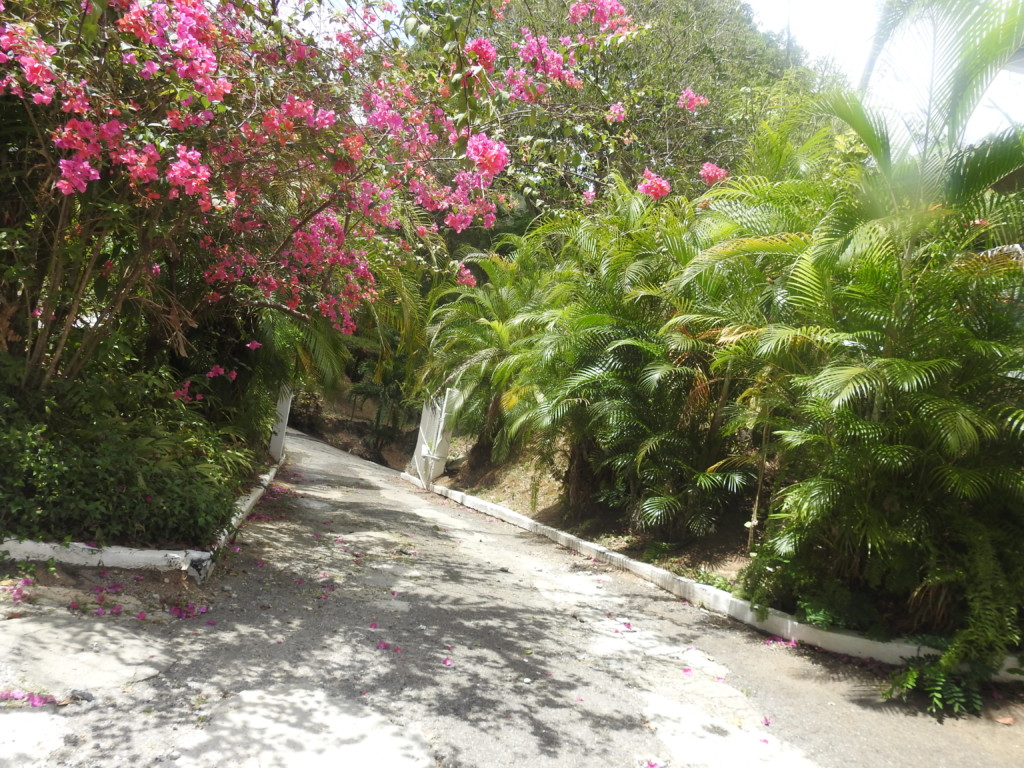 Yerette Hummingbird Sanctuary, Trinidad | Miles To The WildMiles To The ...